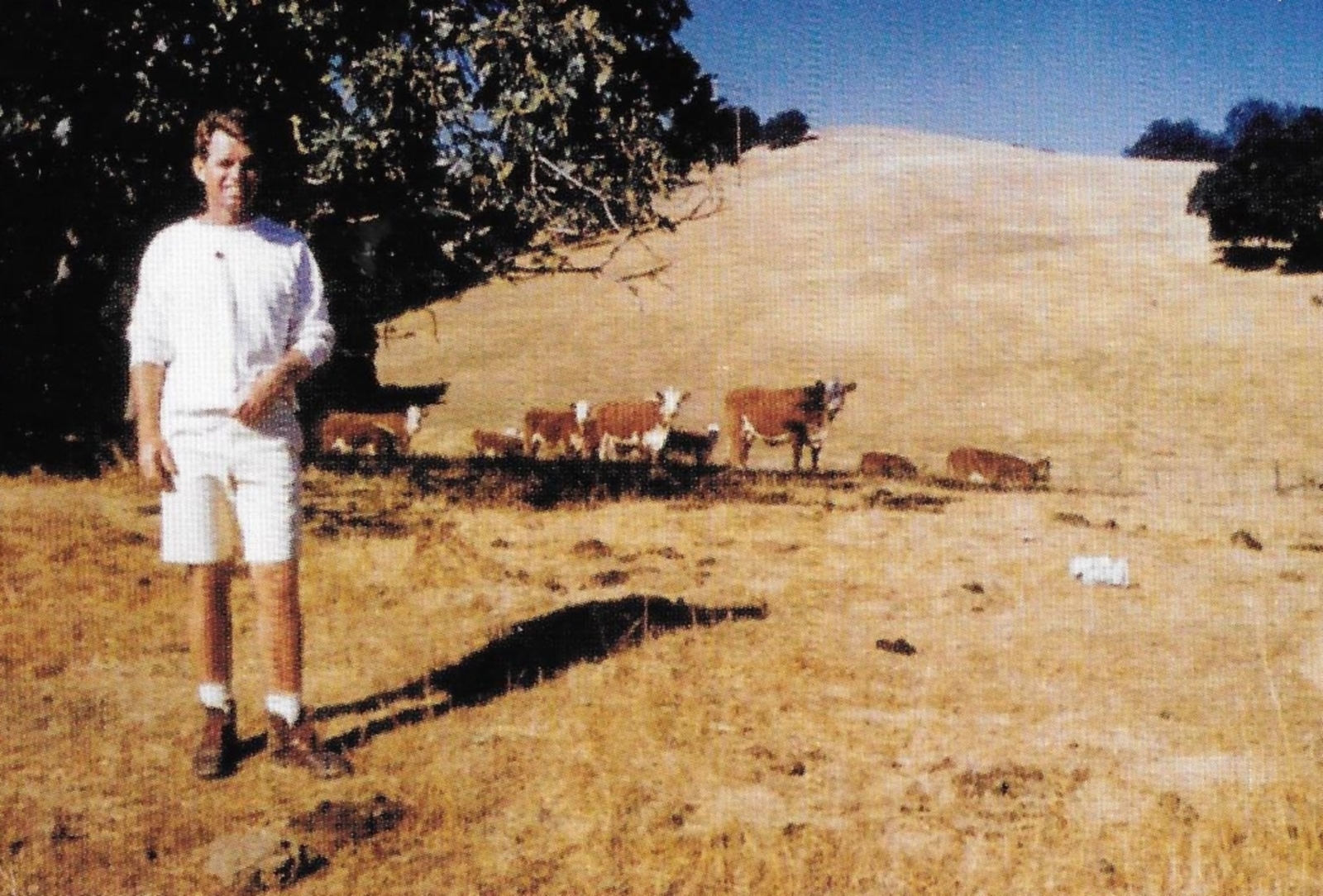 Gilroy California – Marilyn From The 22nd Row